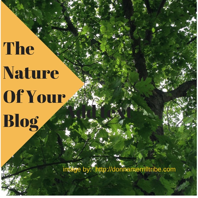The Nature Of Your Blog - ♫ Donna Merrill Tribe