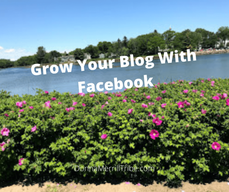 Grow your blog with Facebook - ♫ Donna Merrill Tribe